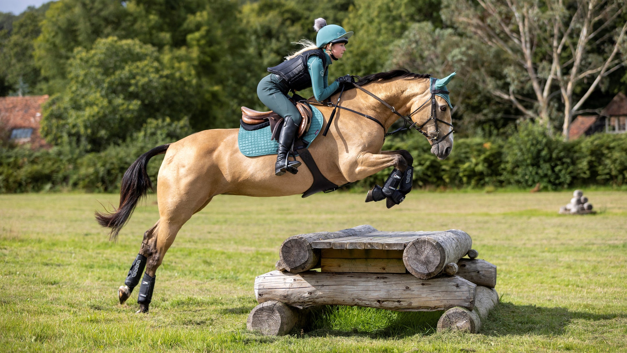 Dun Horse Jumping
