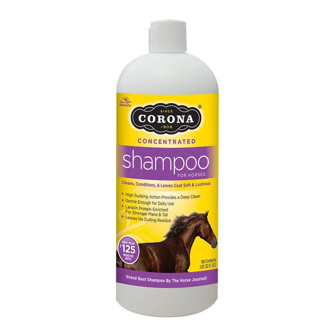 Corona Shampoo | All About Equestrian
